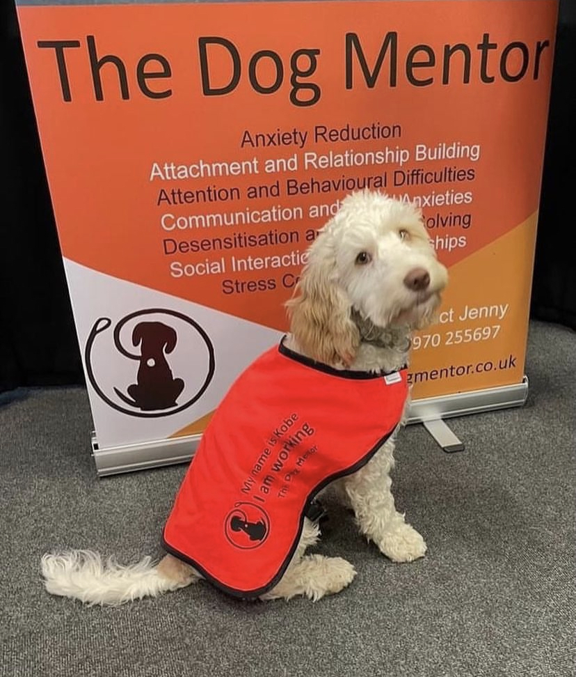 Dog mentor marks year of supporting students' mental health at ...