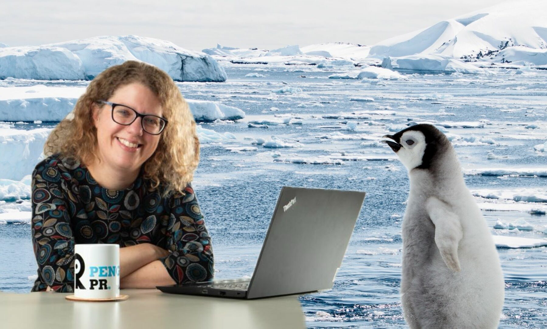 What do the world’s unluckiest penguins teach us about PR? - Penguin PR